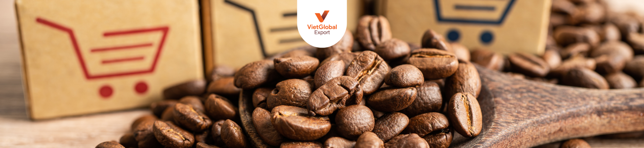 About Us - VietGlobal Export