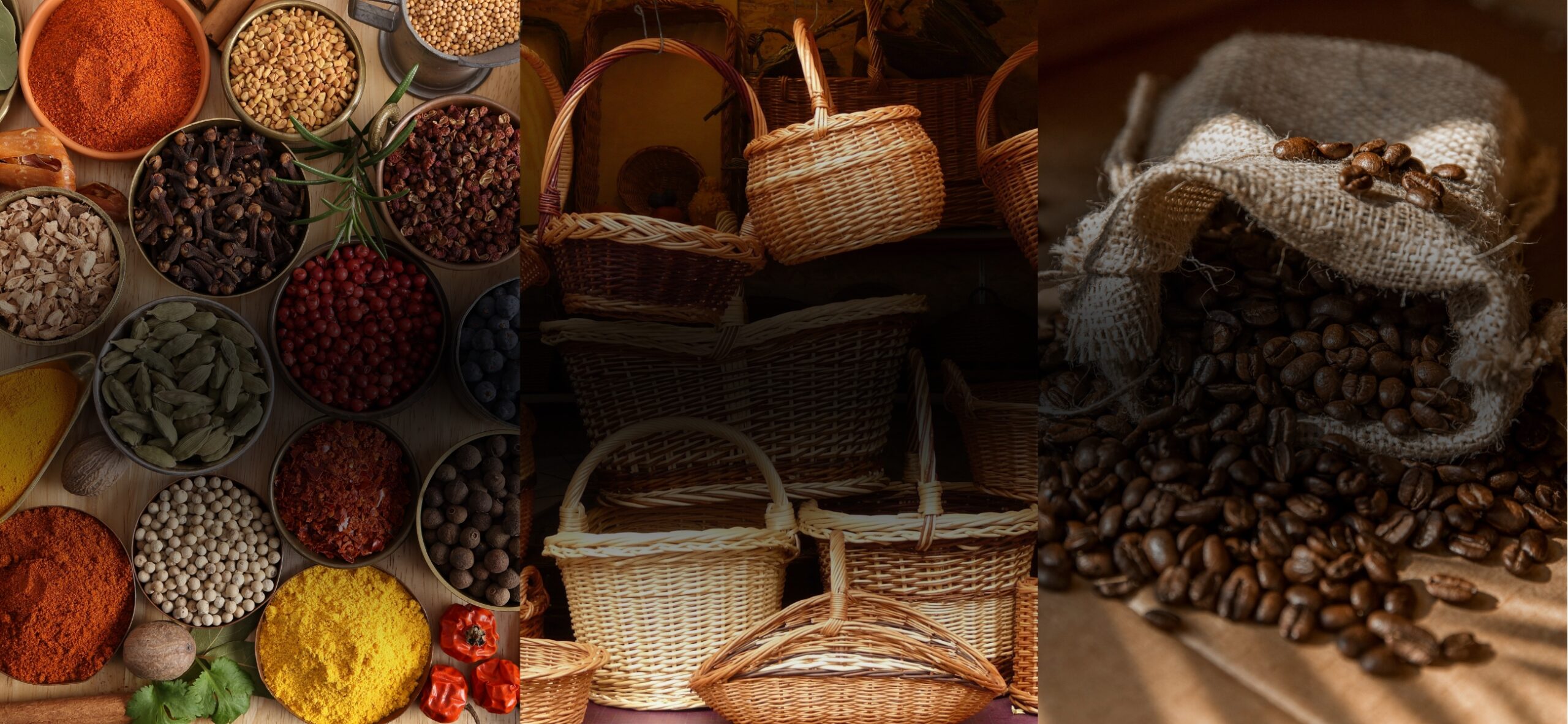 Home - VietGlobal Export