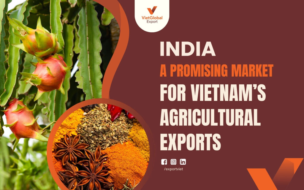 Home - VietGlobal Export