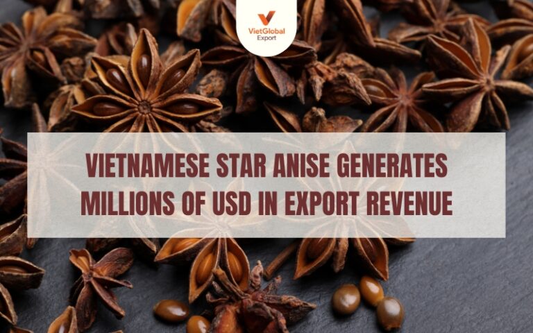 Home - VietGlobal Export