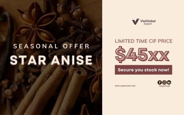 Home - VietGlobal Export