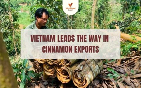 Home - VietGlobal Export