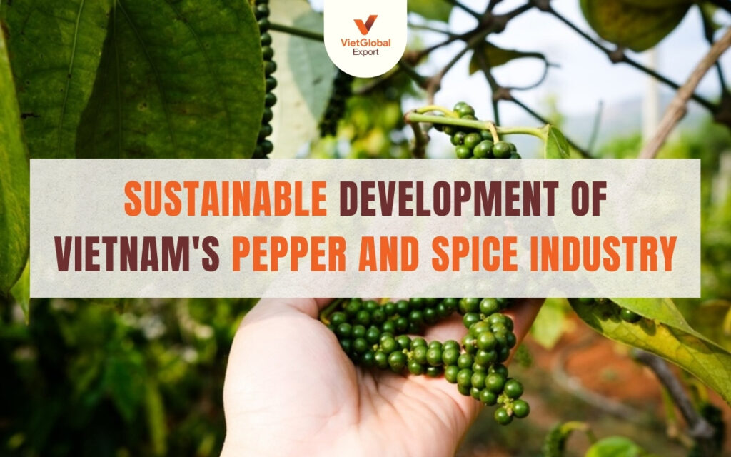Sustainable Development of Vietnam's Pepper and Spice Industry ...