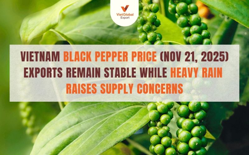 Vietnam Black pepper price (Nov 21, 2025): US Tax exemption vs. Weather ...