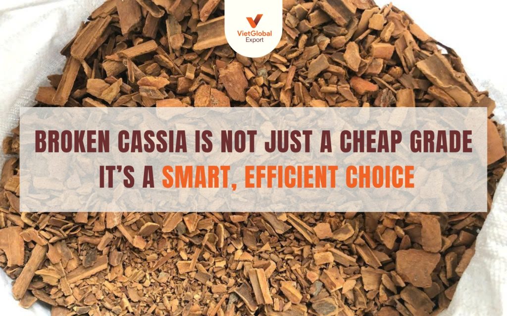 Broken Cassia Vietnam – Grades, Types & Exporter | VGE