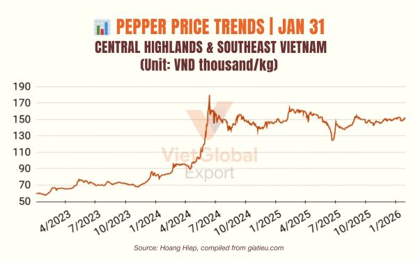 Vietnam Pepper Market Update – January 31: Prices Hold Steady